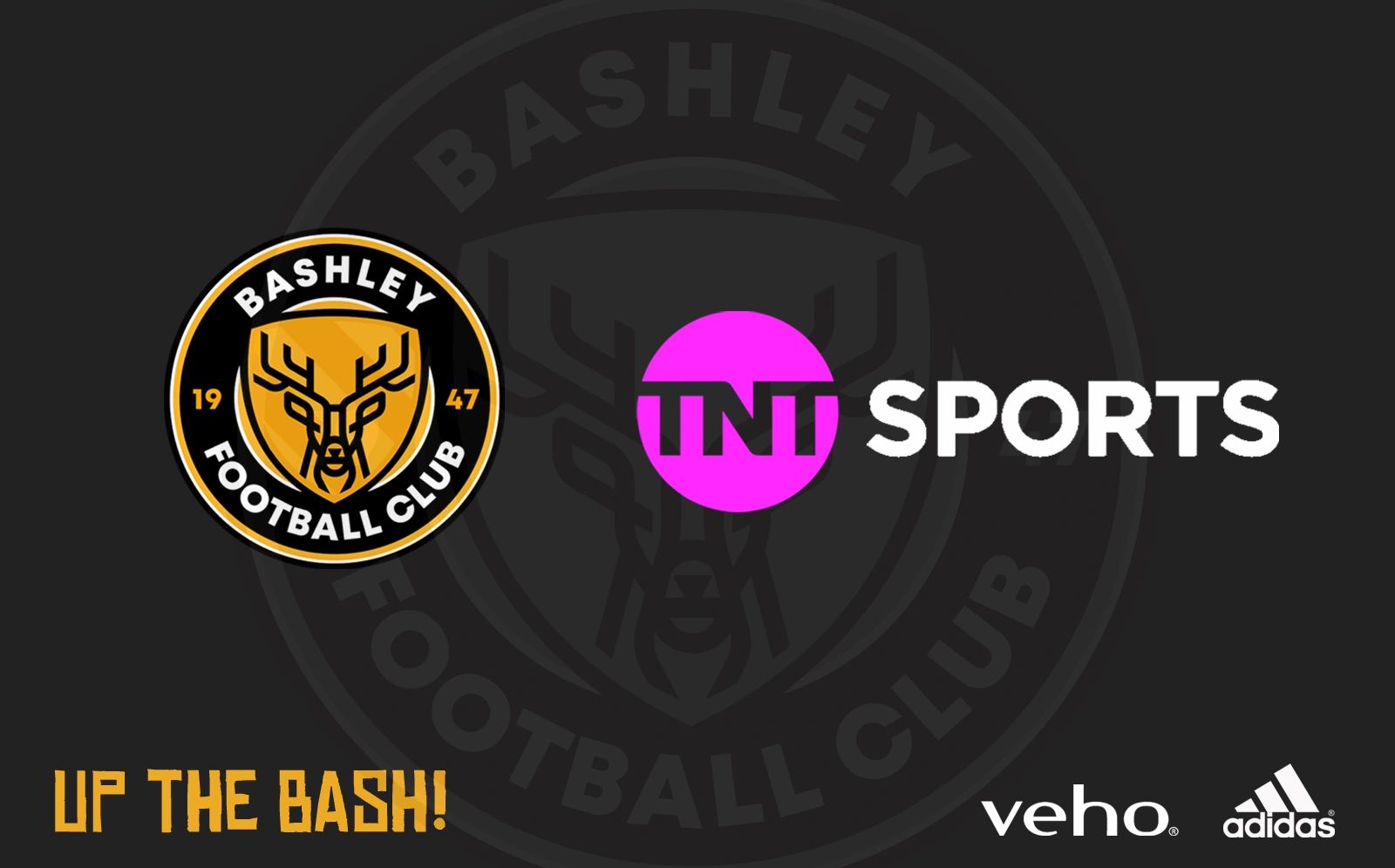 TNT Sports - Bashley FC